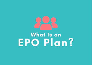 What is a Coinsurance? Health Insurance Explained – Zencare Blog