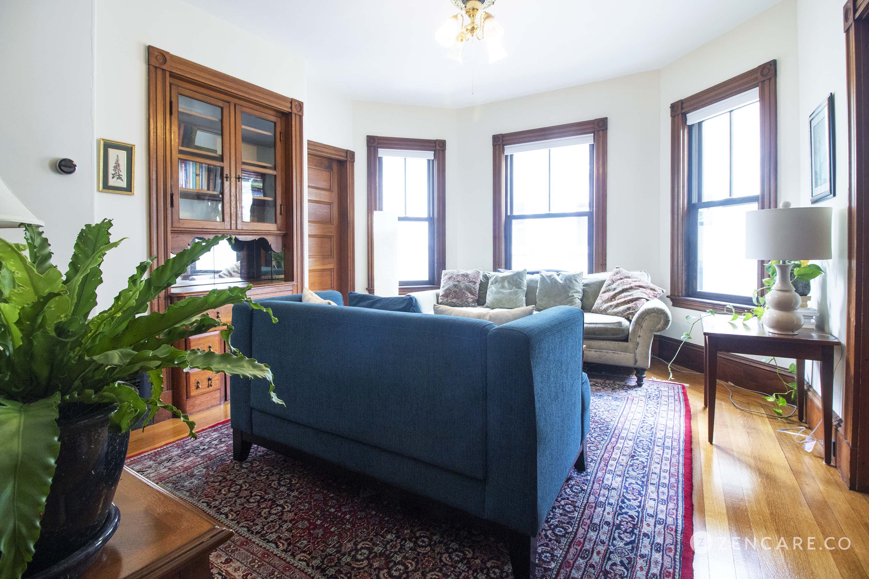 Alison Jost, Therapist in Cambridge, Massachusetts — Zencare