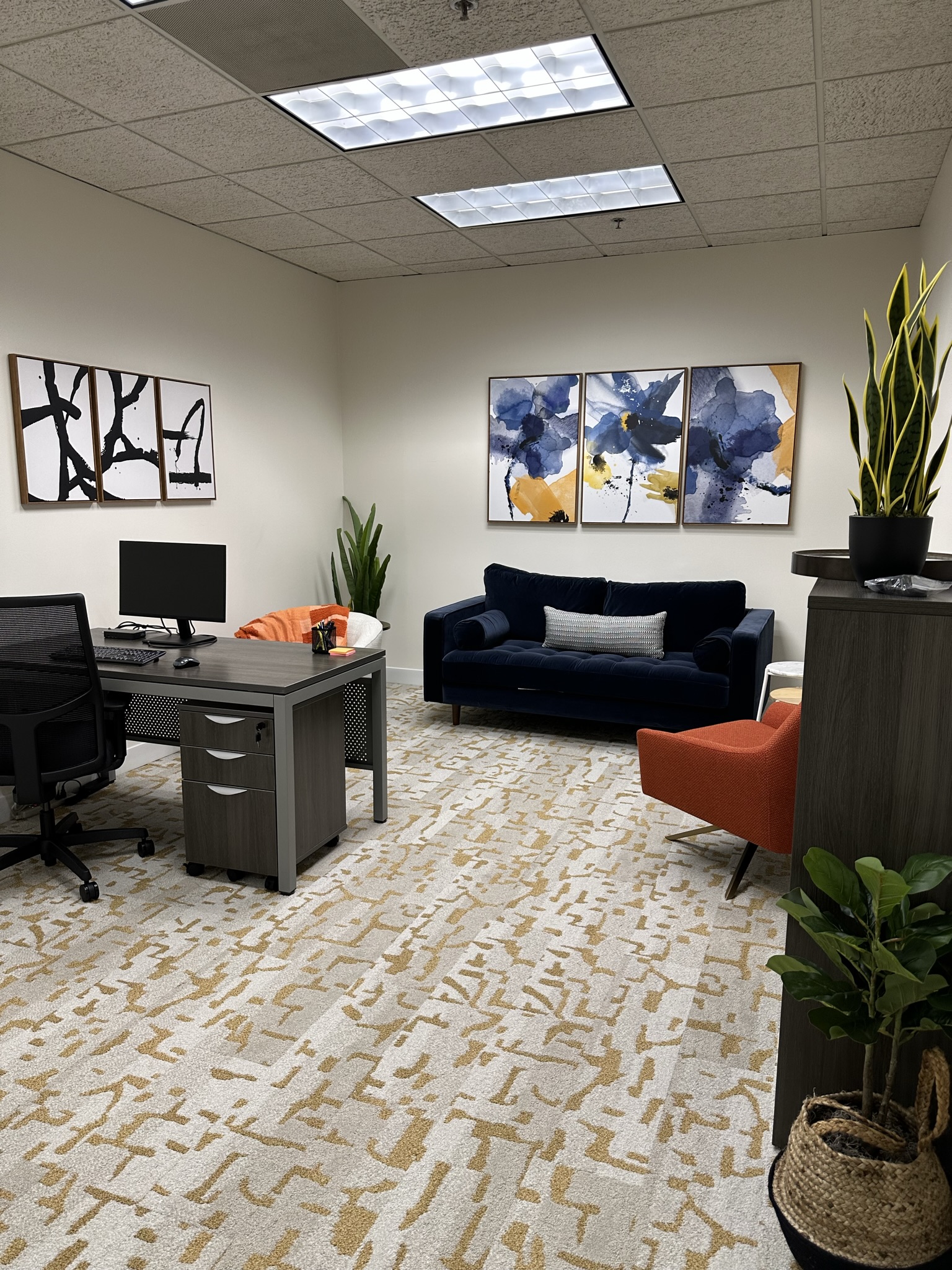 Psychiatric Professionals of Georgia Powered By Geode Health, Group ...