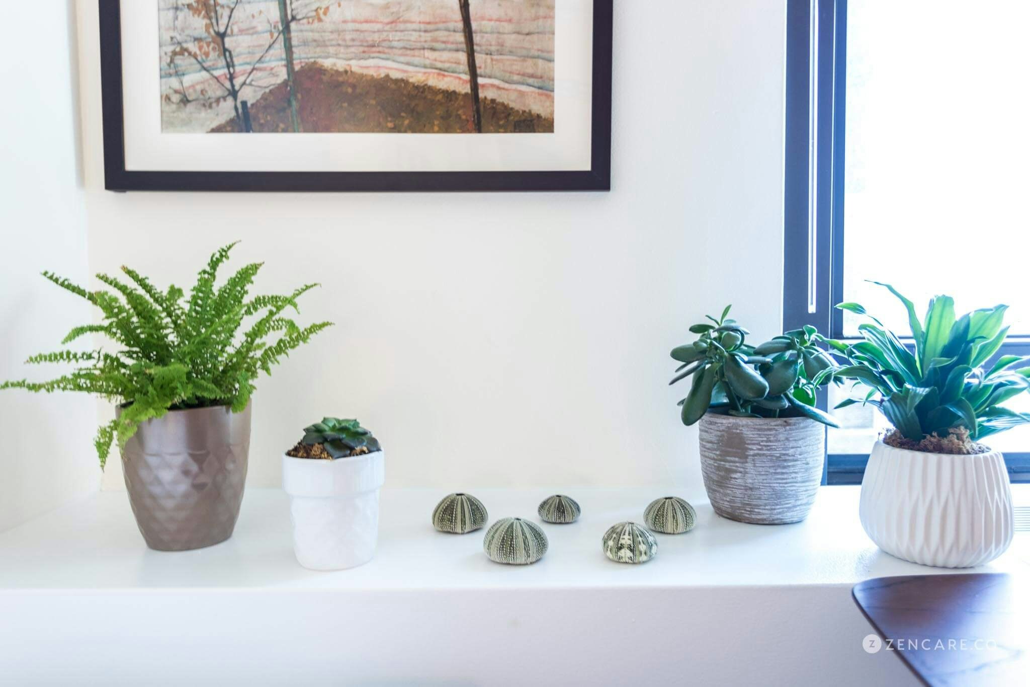 Jamie Bloom, Therapist in Brooklyn, New York — Zencare