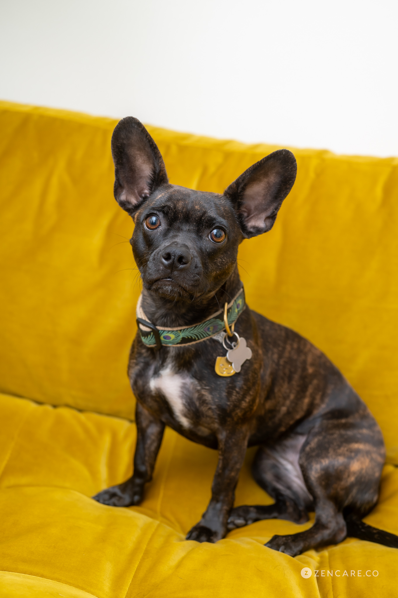 Alexandra Steen, Therapist in Seattle, Washington — Zencare