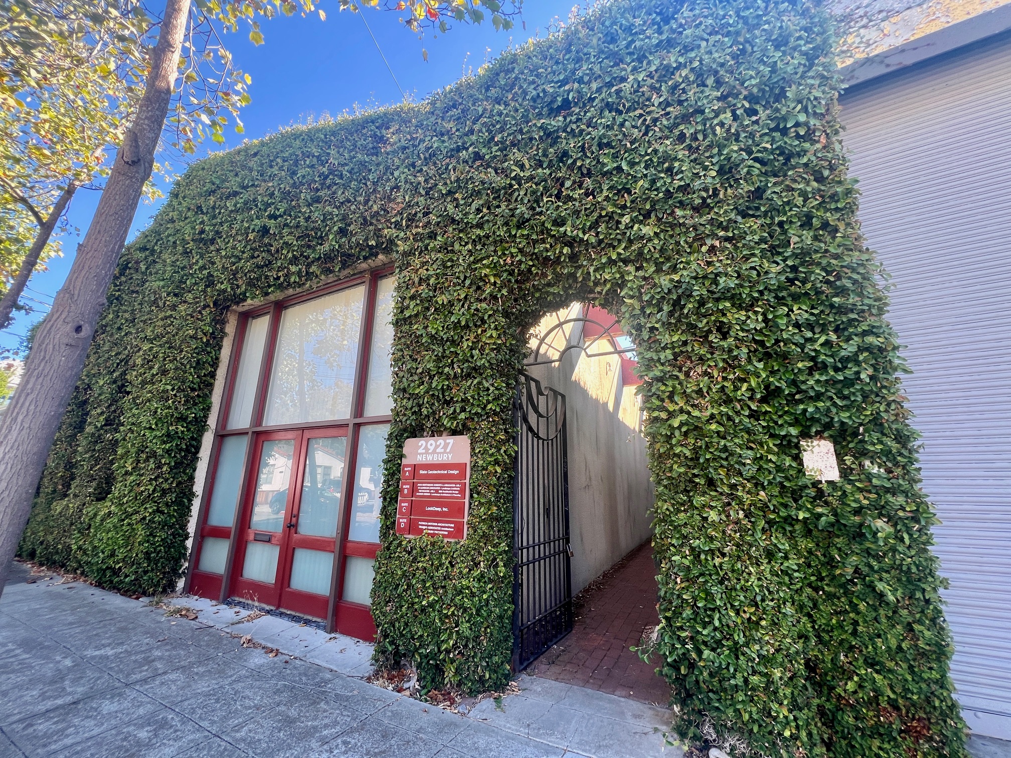 Kelsey Shogren, Therapist in Berkeley, California — Zencare