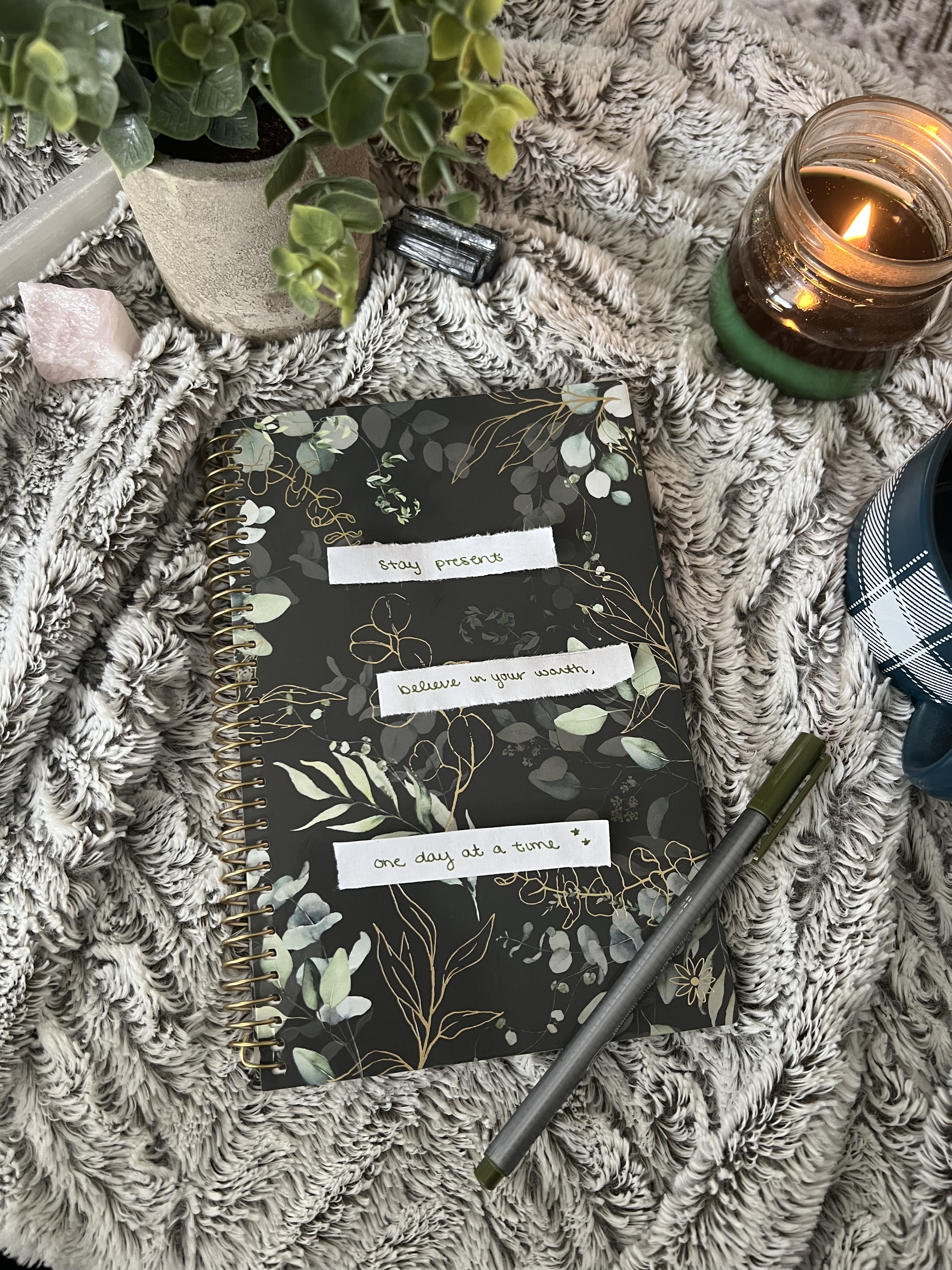 Cassie Daly, Therapist in Providence, Rhode Island — Zencare