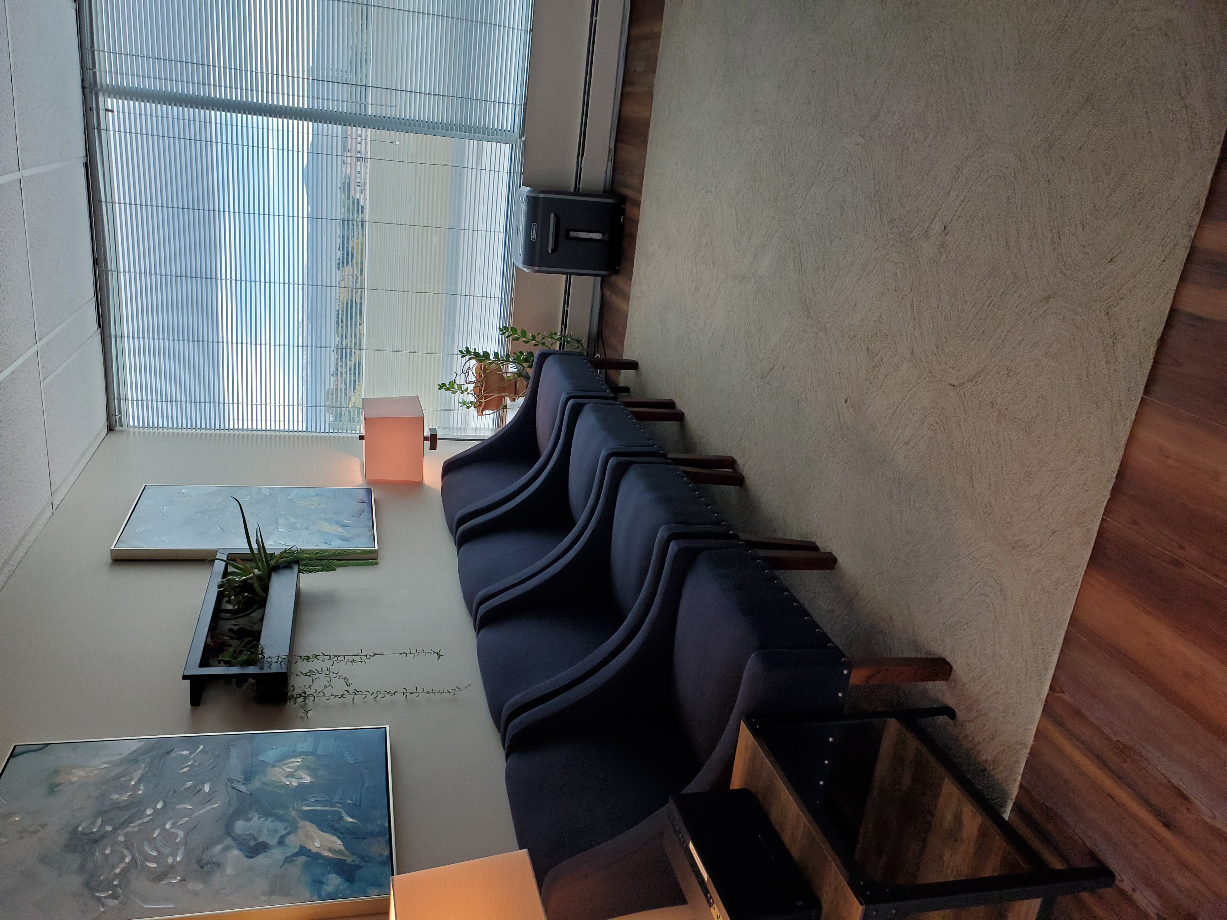 Alison Heiser, Therapist in Denver, Colorado — Zencare